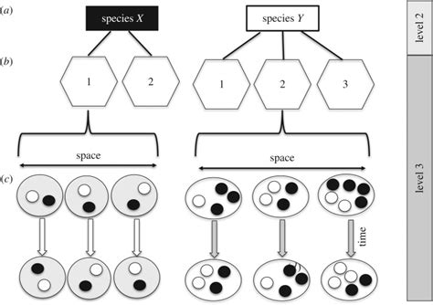 Sex Roles And Adult Sex Ratios Insights From Mammalian Biology And
