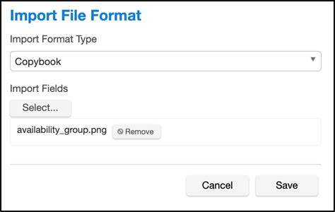 Managing File Formats Delphix Masking Documentation