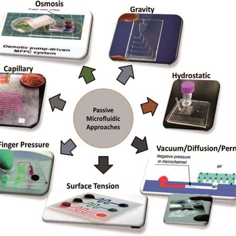 Recent Pressure Driven Approaches In Passively Driven Microfluidics Download Scientific Diagram