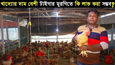 জানুন টাইগার মুরগির বাজারজাতকরণ কিভাবে করবেন।morgi Farming Youtube