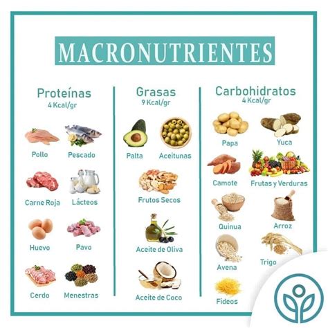 Macronutrientes