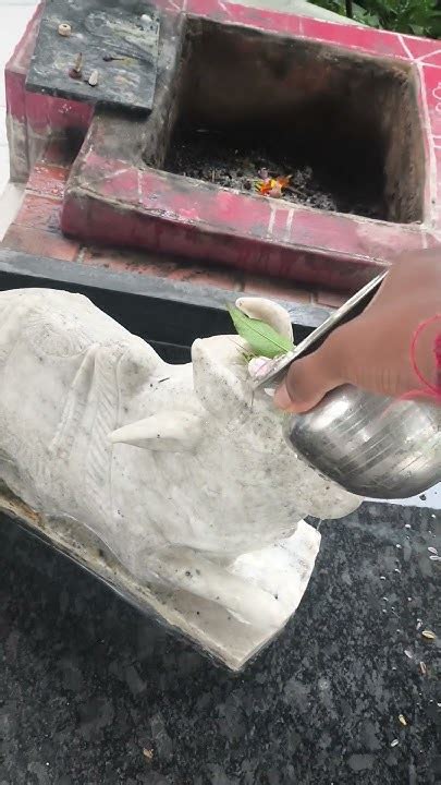 Mini Vlog 1 More Har Har Mahadev 🙏🙏 Minivlog Viralvideo Shortvideo Shortvideoformat