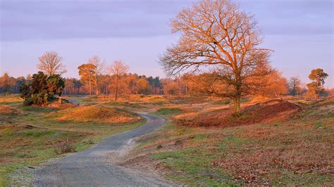 Обои осень поле тропа 1920x1080 Full Hd от Photomonstr картинки на рабочий стол и заставки