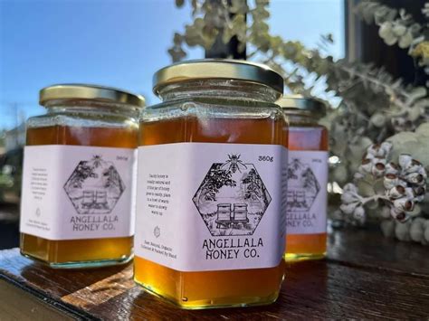 Bees Honey Newbusiness Naturesmedicine Outbackqueensland Martin V