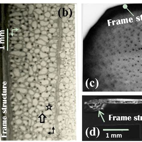 A Simple Model And The Microstructure Of Beetle Elytra A A Simple