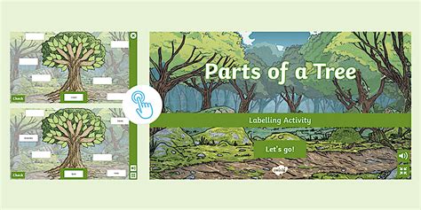 New Tree Interactive Labelling Activity Teacher Made
