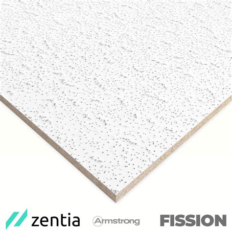 Embassy Ceiling Tiles