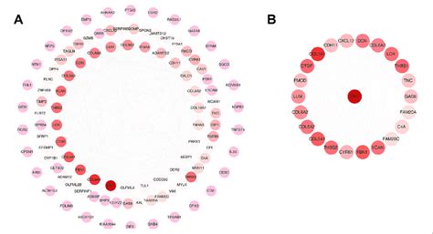Protein Protein Interaction Ppi Network And One Clustering Module Download Scientific