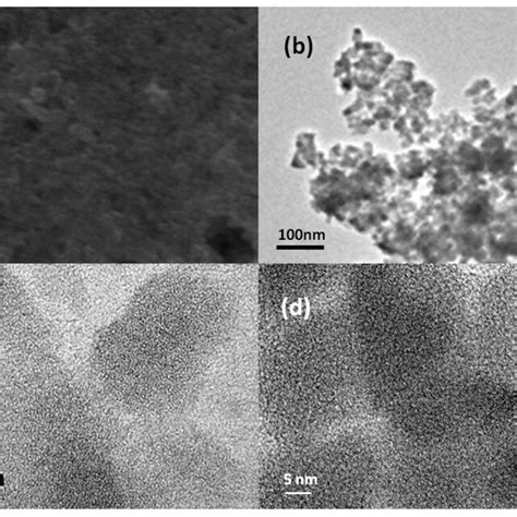 A Scanning Electron Microscopy Sem B Transmission Electron