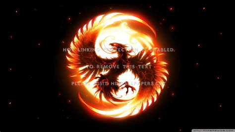 🔥 Free Download Pheonix Fire Flame Bird Abstract Fantasy By Juanb Wallpapersafari