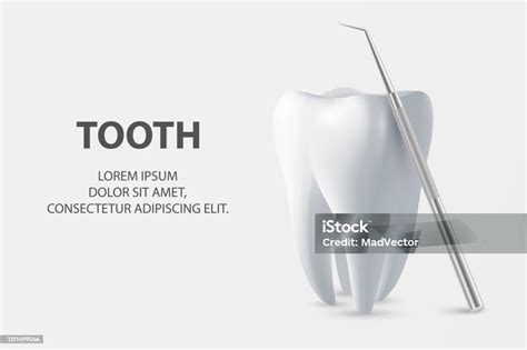 벡터 3d 사실적인 치아와 흰색 배경에 치아 클로즈업을위한 치과 프로브 의료 치과 의사 도구 디자인 템플릿 클립 아트 모형 치과 건강 관리 위생 개념 치과 의사에 대한 스톡