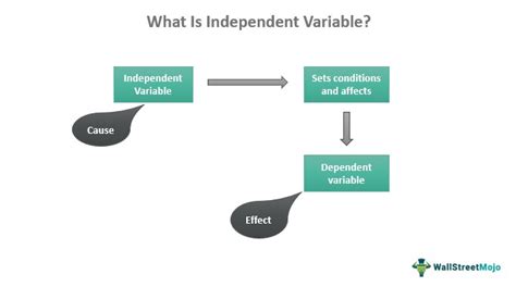Independent Variable What Is It Examples And Uses