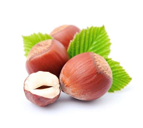 Filbert Nuts Premium Photo