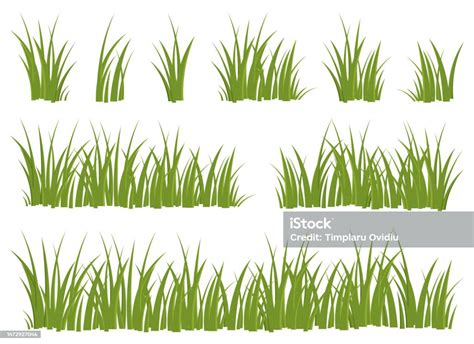 Cartoon Grass Leaves Collection Vector Illustration Isolated On White向量圖形及更多卡通圖片 Istock