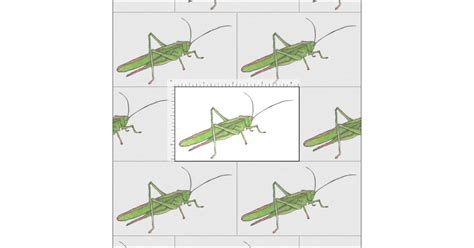 Grasshopper Fabric Zazzle