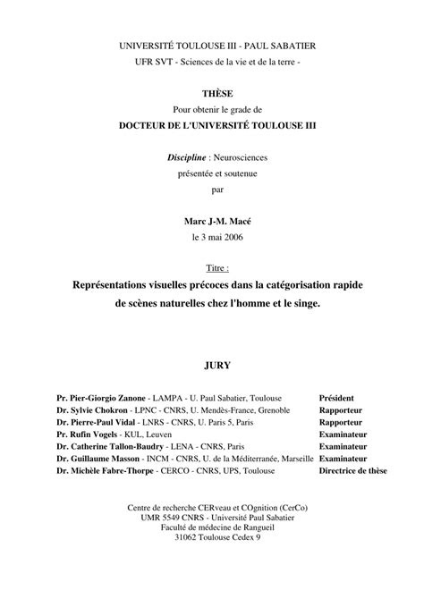 Pdf Early Visual Representations In Rapid Visual Categorization Of Natural Scenes In Humans