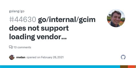 Gointernalgcimporter Does Not Support Loading Vendor Packages In Std