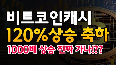 비트코인캐시 120 수익 축하드립니다 로저버 예상처럼 1000배 상승 진짜 가나 Youtube