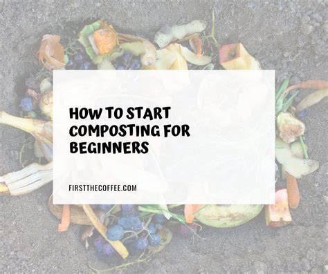 How To Start Composting For Beginners