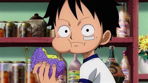 One Piece Devil Fruits Guide Types And Powers Explained Animehunch