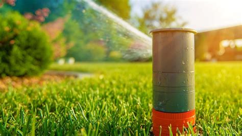 Your Irrigation Backflow Prevention Device Needs To Be Tested Annually Picture Perfect Landscapes