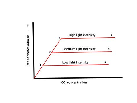 Sciencenotes Law Of Limiting Factor