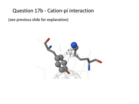 Question 1 Name Pdb Codes Ppt Download