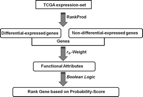 Ranking Genes In A Boolean Logic Framework Schematic Representation Of Ranking Genes In A Boolean Logic Framework Schematic Representation Of