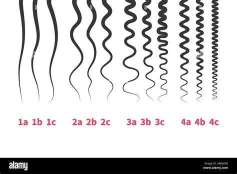 Hair Types Of Straight Wavy Curly And Kinky Strands Illustration