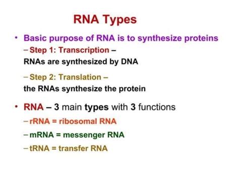 Dna And Rna Replication Overview Pptx