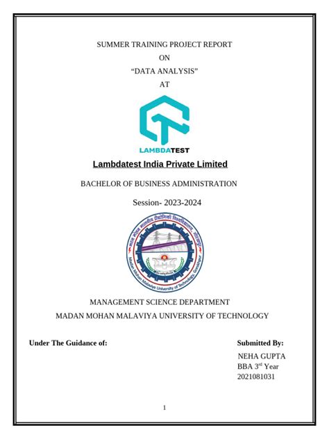 data analysis summer internship report pdf