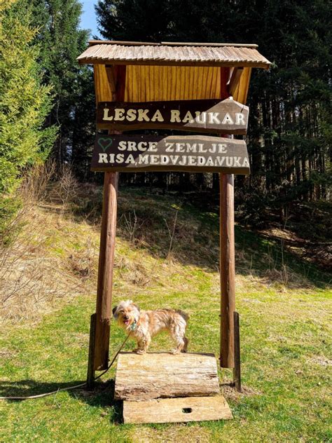 Tražiš Lijepu I Laganu šetnicu U šumi Uputi Se Na Poučnu Stazu Leska U
