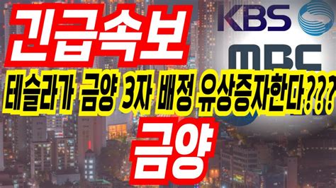 금양 주가전망 대박이다 Youtube