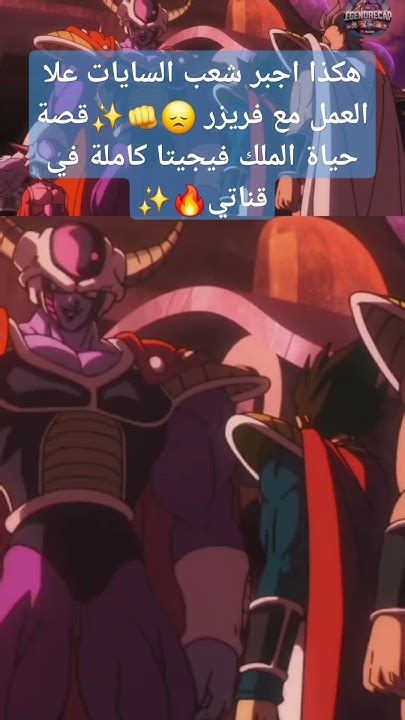 المعركة الاجمل بين باردوك والملك فيجينا ابو غوكو ضد ابو فيجيتا🔥🔥🔥 Youtube