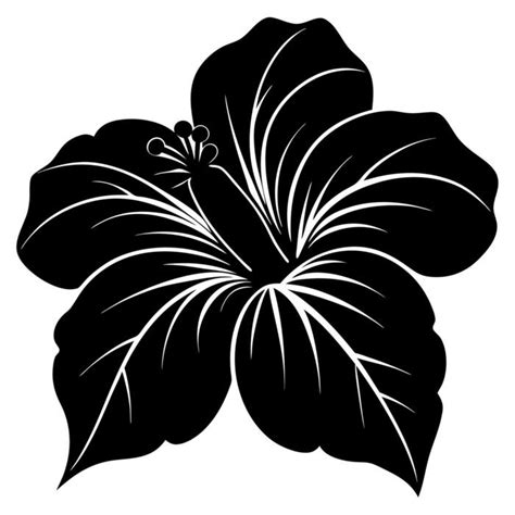 Hawaiian Flower Silhouette Vector Art Icons And Graphics For Free