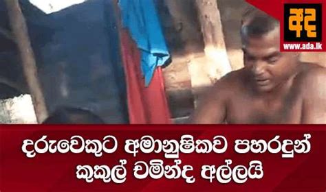 දරුවෙකුට අමානුෂිකව පහරදුන් කුකුල් චමින්ද අල්ලයි Ada Online