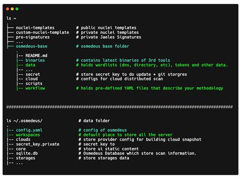 What Is Premium Package Osmedeus Next Generation A Workflow Engine