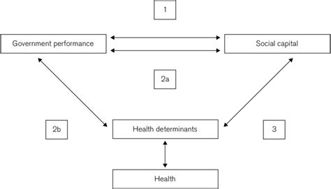Relationships Between Social Capital And Health Lavis And Stoddart Download Scientific Diagram