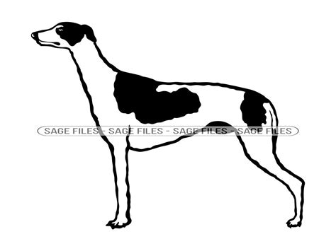 Greyhound Clipart