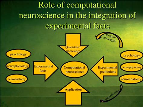 Ppt Computational Neuroscience Powerpoint Presentation Free Download