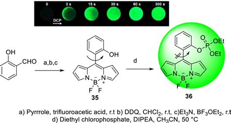 Chemosensor 35 Developed By Kim Et Al Upon Reaction With Dcp 36 Is Download Scientific