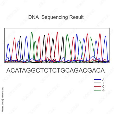 Poster The Analytical Picture Of Dna Sequencing For Detection The