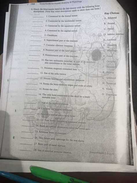 solved match the bone names listed in the key choices with
