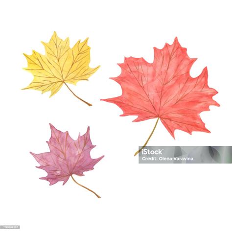 손으로 그린 수채화 빨강과 노랑 단풍 나무 잎 심플한 무늬 가을에 대한 스톡 벡터 아트 및 기타 이미지 가을 가을 단풍 감정 Istock