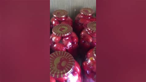 პამიდორის მწნილი სეზონური Youtube