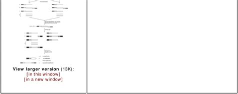 Schematic Diagram Of Ssh Procedure Download Scientific Diagram