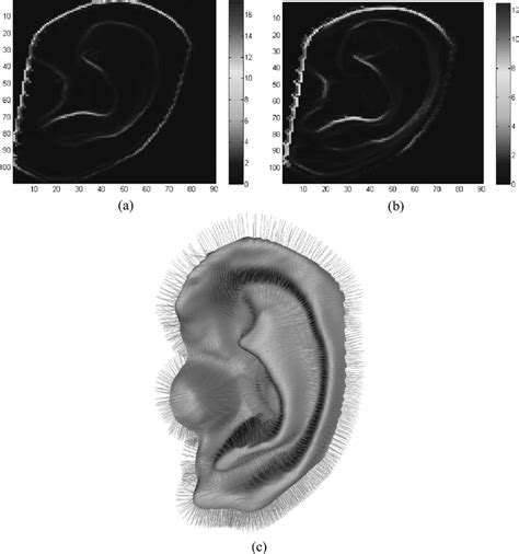 Similarity Components A Maximum Curvature B Minimum Curvature Download Scientific