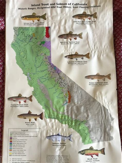 Native Trout Workgroup Resources Trout Unlimited