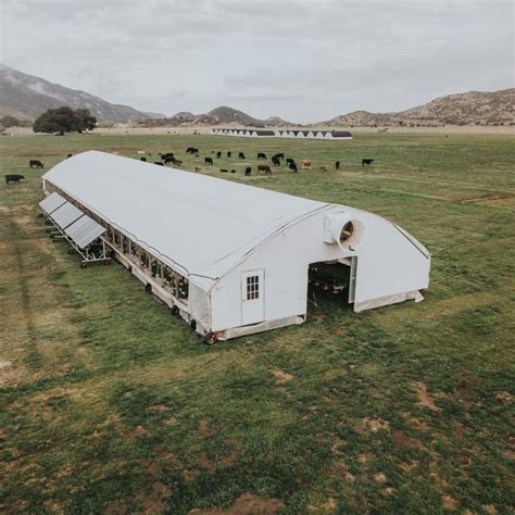 Amphibious Velox Robot Uses Undulating Fins To Swim And Crawl