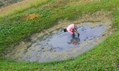 Activity Field Nature Free Photo On Pixabay Pixabay